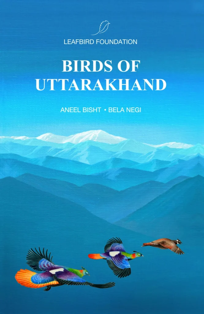 Birds of Uttarakhand and their 'paan-beeri-cigarette' or 'teen-tola ...