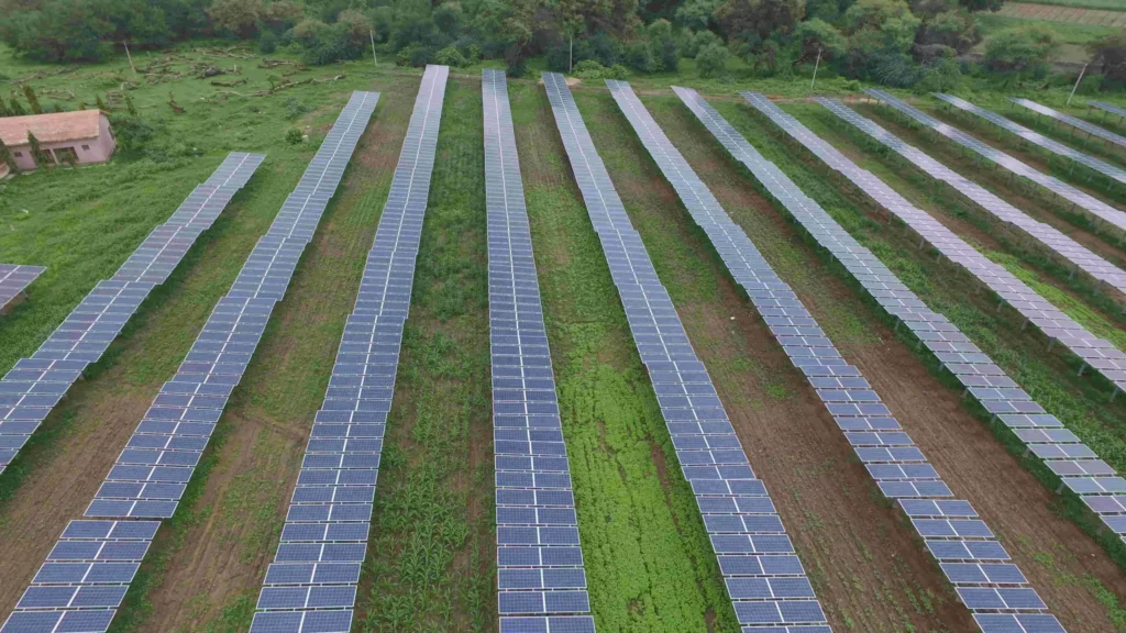 Solar projects that generate 'green' power, and also support farming ...