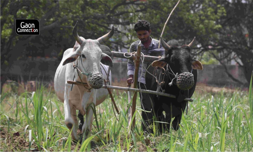 Gaon Connection : India's Biggest Rural Media Platform